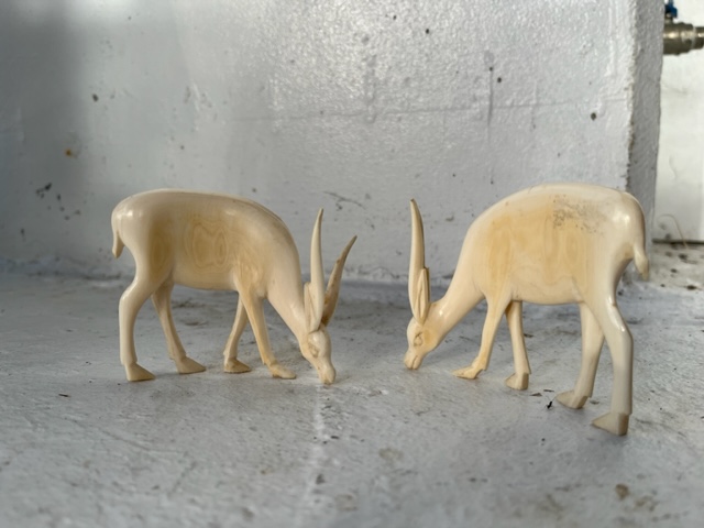 Pair of Antique Ivory Antelope - Orakei Objet - Antiques, Art ...