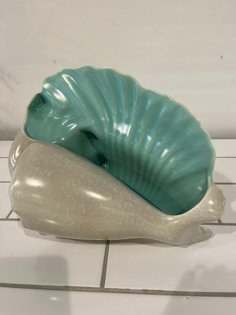 Large Poole Conch Shell - Orakei Objet - Antiques, Art, Furniture and ...
